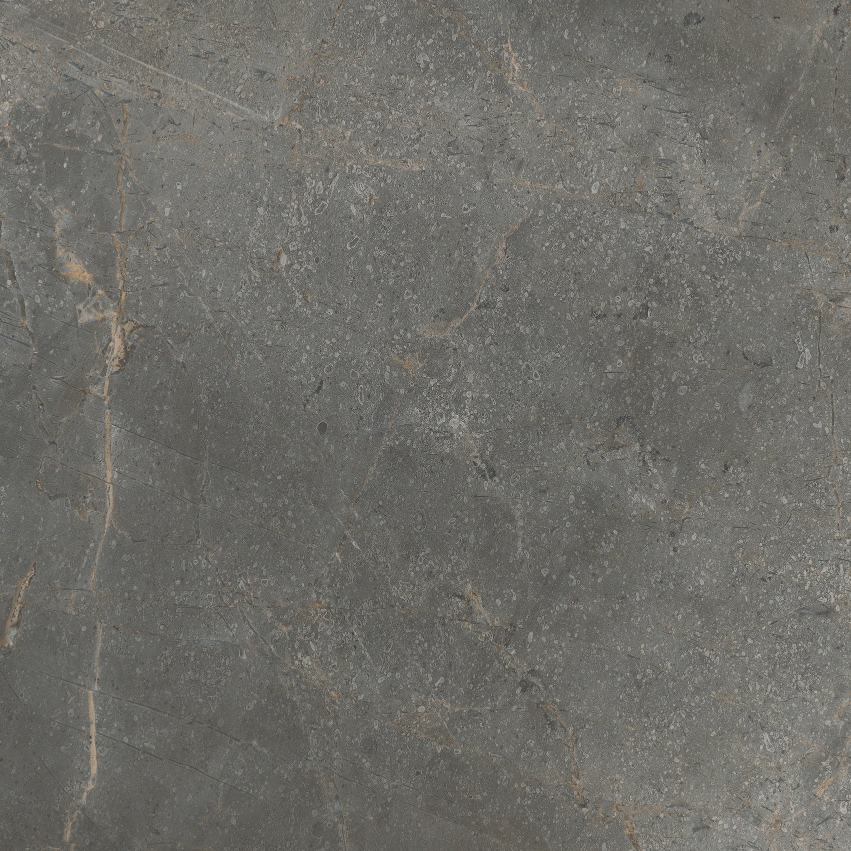 Vloertegel Masterstone graphite 60x60 rect | Sanitairwinkel – WDtegels